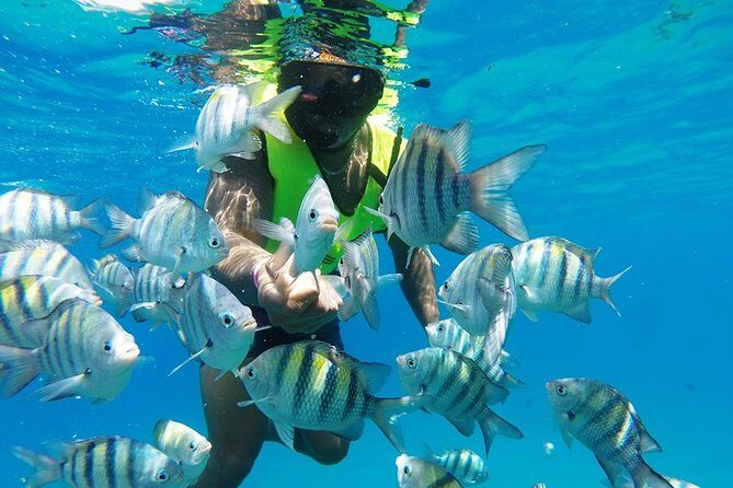 Puerto Plata Shore Excursion, Snorkeling tour & Sosua Beach Day - Why Choose This Tour?