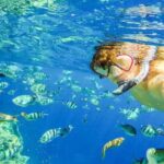 Puerto Plata: Sosúa Bay Snorkeling Tour with Transfers - Final Thoughts: Who Should Consider This Tour?