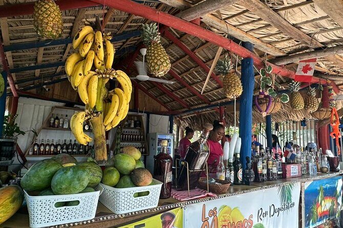 Puerto Plata VIP Experience : City & Countryside Escape - Who This Tour Is Best For