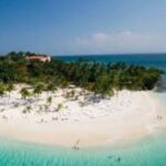 Puerto Plata: Whale Watching & Bacardi Island Day Trip - From Whale Watching to Paradise: Bacardi Island