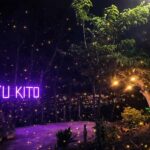 Puerto Princesa: Firefly Watching & Seasonal Plankton Tour - Who Should Consider This Tour?