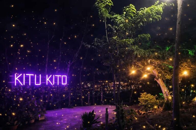 Puerto Princesa: Firefly Watching & Seasonal Plankton Tour - Who Should Consider This Tour?