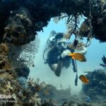 Puerto Princesa: Guided Diving Tour with Snacks - What to Expect from the Tour