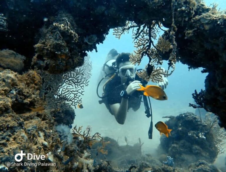 Puerto Princesa: Guided Diving Tour with Snacks - What to Expect from the Tour