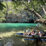 Puerto Princesa: Jungle Trail Trek to the Underground River - The 2-Hour Jungle Trail Walk: What to Expect