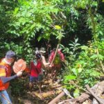 Puerto Princesa Underground River Guided Trekking Tour - Authentic Insights and Traveler Perspectives