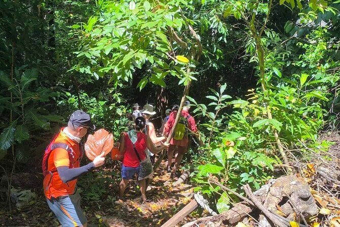 Puerto Princesa Underground River Guided Trekking Tour - Authentic Insights and Traveler Perspectives