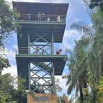 Puerto Rico Cable Car and Bird Sanctuary Tour - Pricing and Value