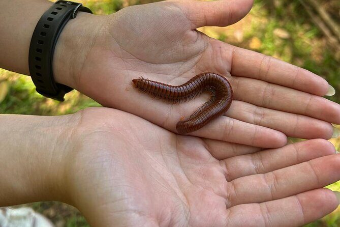 Puerto Rico: El Yunque Sightseeing Half-Day Tour w/Transfer - What Reviewers Say