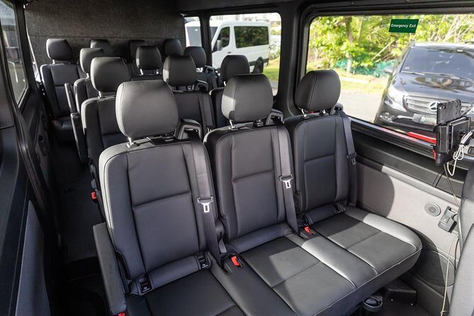 Puerto Rico Island Wide Private Transfers, 14Pax Lux Sprinter Van - Who Should Book This Service?