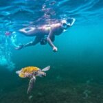 Puerto Rico Jet Snorkel with Turtles and Videos in San Juan - The Jet-Powered Snorkel Adventure