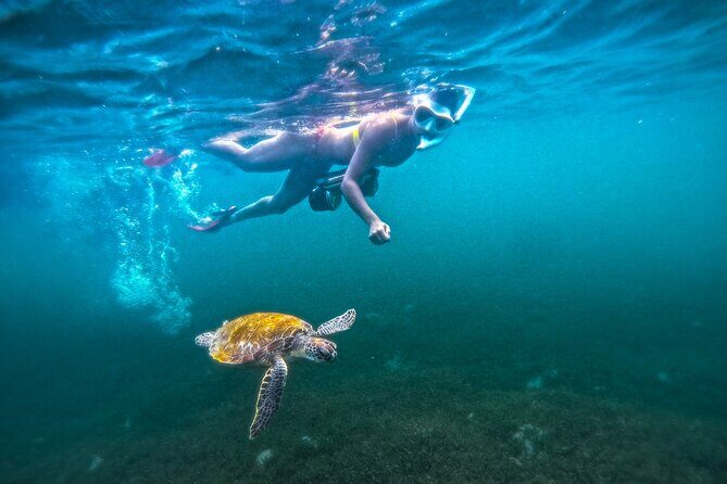 Puerto Rico Jet Snorkel with Turtles and Videos in San Juan - The Jet-Powered Snorkel Adventure