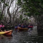 Puerto Rico Sunset Magic: Bio Bay Kayaking Tour from Fajardo - Detailed Itinerary and What to Expect