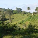 Puerto Rico Waterfall Hiking Tour: Discover Hidden Gems 2.0 - How the Tour Fits Into Your Puerto Rico Trip