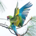 Puerto Vallarta: Botanical Garden & Tequila Tasting Tour - The Itinerary Breakdown