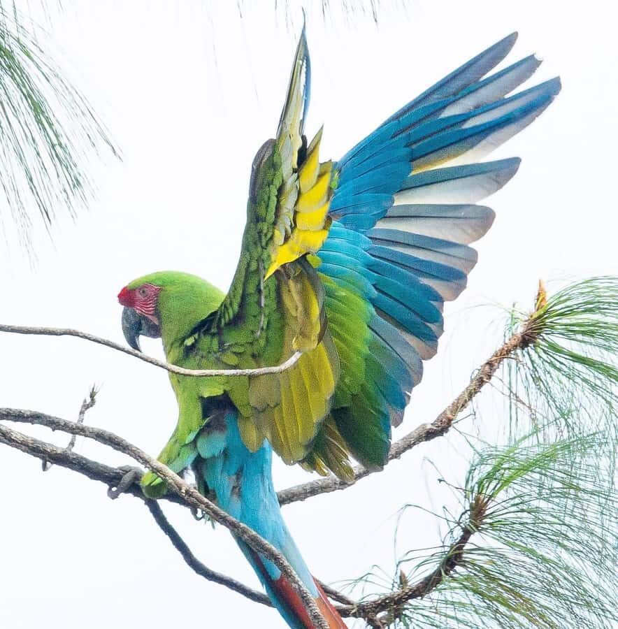 Puerto Vallarta: Botanical Garden & Tequila Tasting Tour - The Itinerary Breakdown