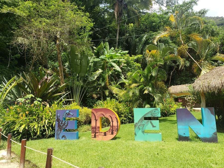 Puerto Vallarta: City & Jungle Tour - Practical Details and Tips