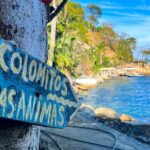 Puerto Vallarta Coastal Hiking on Magic Beaches - FAQs