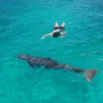 Puerto Vallarta: Dolphin Royal Connection & Water Park Pass - Authenticity and Traveler Feedback