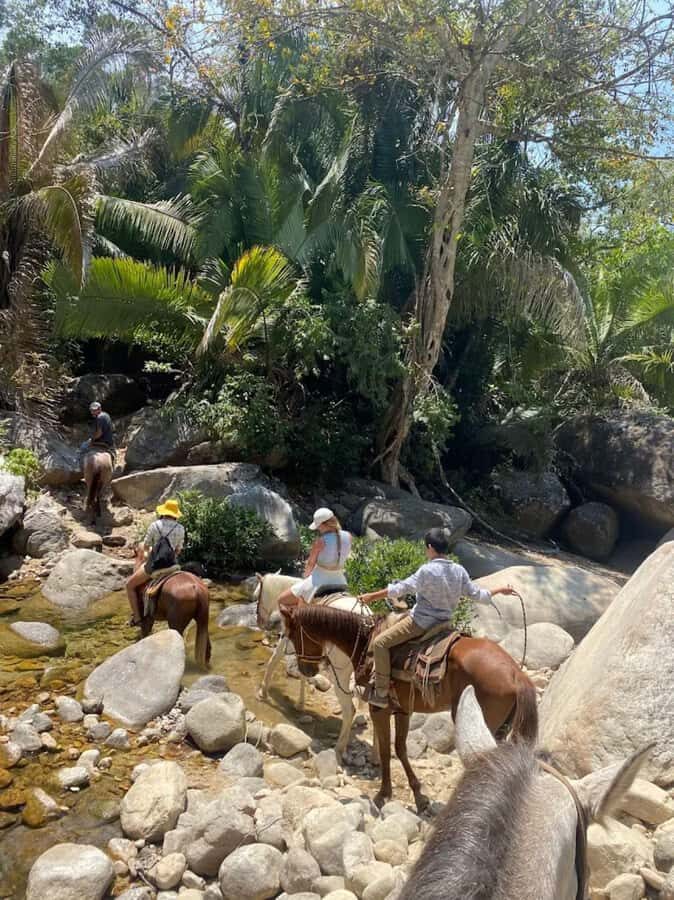 Puerto Vallarta: El Eden Horseback Riding - Who Would Love This Tour?