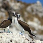 Puerto Vallarta Islas Marietas Eco Discovery - What’s Included and What’s Not