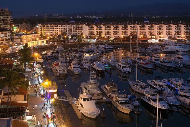Puerto Vallarta Night Lights Private Tour - Who Will Love This Tour?