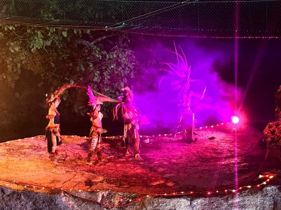 Puerto Vallarta: Night Zipline, Dinner, & Show with Pickup - Practical Details and Value