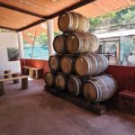 Puerto Vallarta: Oceanfront Lunch, Hike, Tequila & Beach Day - Practical Details and Tips