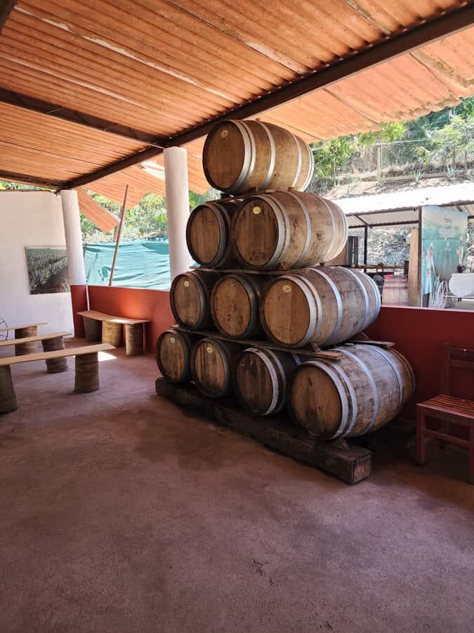 Puerto Vallarta: Oceanfront Lunch, Hike, Tequila & Beach Day - Practical Details and Tips