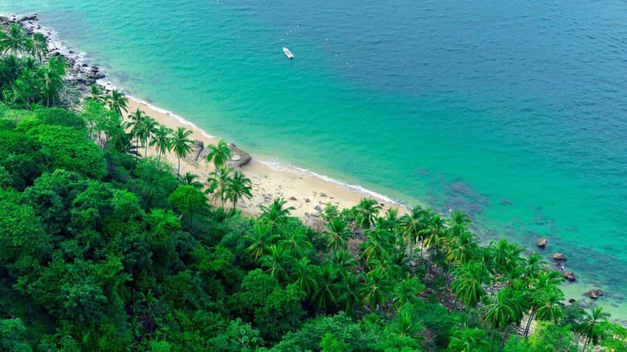 Puerto Vallarta: SouthBay beach & waterfall safari w/Lunch - Who Will Love This Tour?
