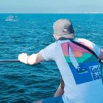 Puerto Vallarta: Whale Watching All Inclusive Experience - What to Expect on the Tour