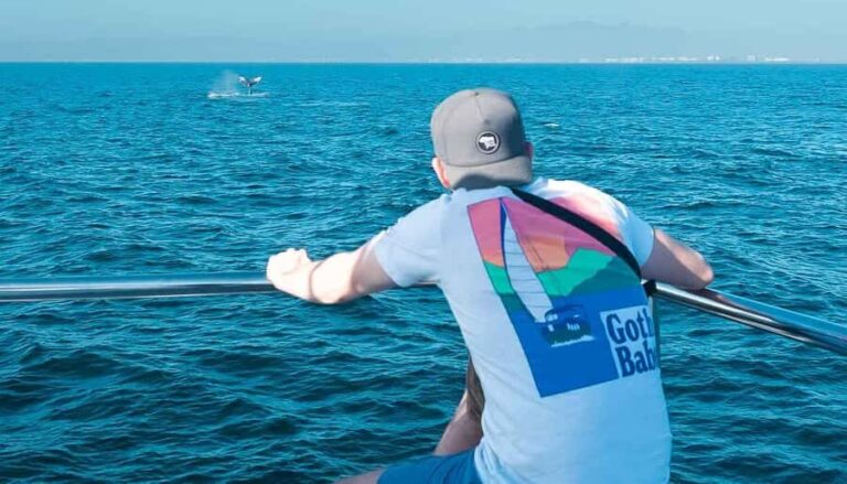 Puerto Vallarta: Whale Watching All Inclusive Experience - What to Expect on the Tour