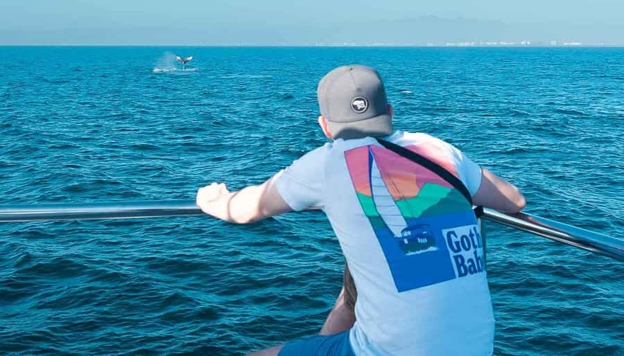 Puerto Vallarta: Whale Watching All Inclusive Experience - What to Expect on the Tour