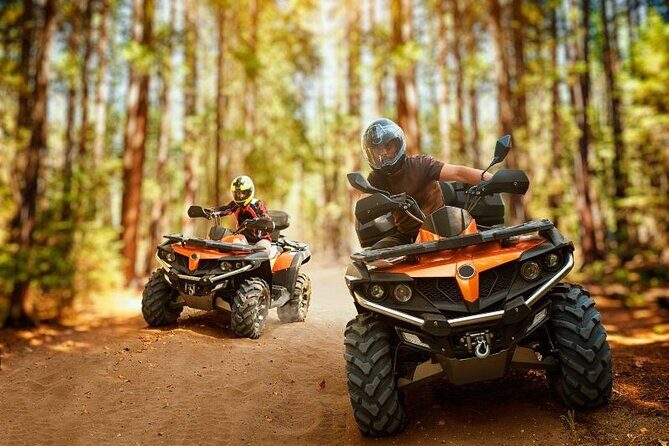 Punta Cana: Amazing ATV Adventure Private Road & Beach W/ PickUp - Who Should Consider This Tour?