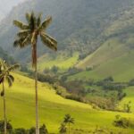 Punta Cana: Anamaya Mountains Walking Tour with Tasting - The Value and Who Will Love It