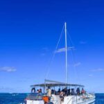 Punta Cana Bavaro: Private catamaran boat with snorkeling, open bar, and sailing - What Makes This Catamaran Tour Stand Out?