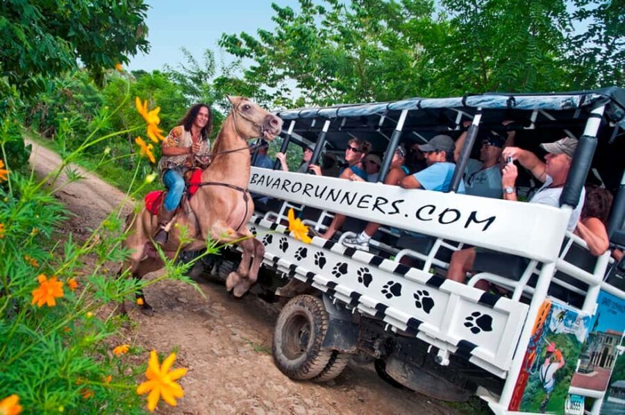 Punta Cana: Bavaro Runners Safari Tour - Who Will Love This Tour?