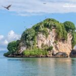 Punta Cana/Bayahibe: Caño Hondo & Los Haitises Tour - The Value of This Tour