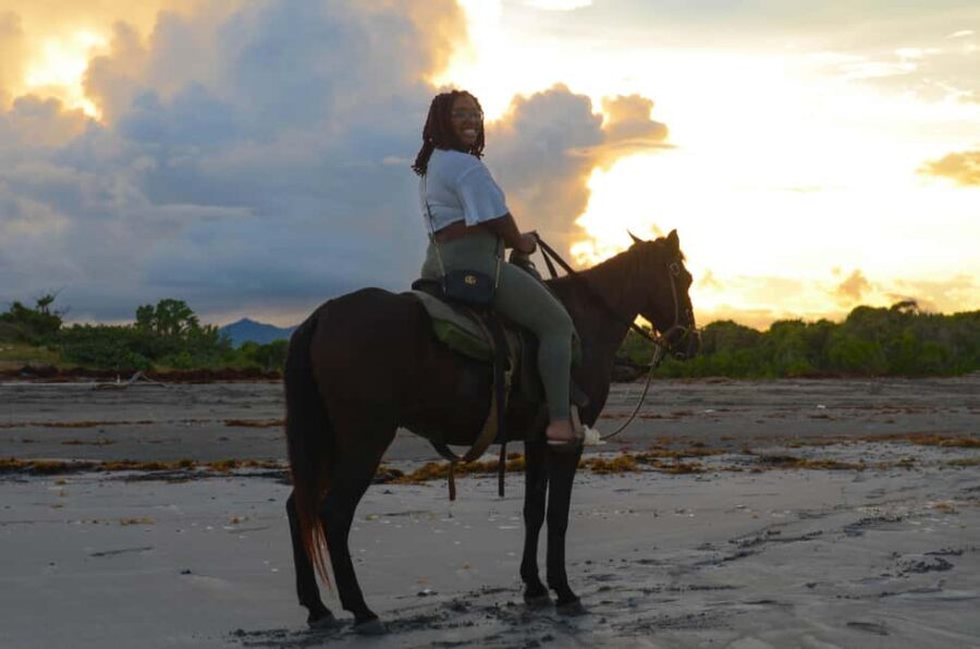Punta Cana: Beach Sunset Horseback Riding with Hotel Pickup - Is It Worth the Price?