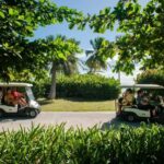 Punta Cana: Blue Lagoon Tour with Catamaran Cruise - What Makes This Tour Special