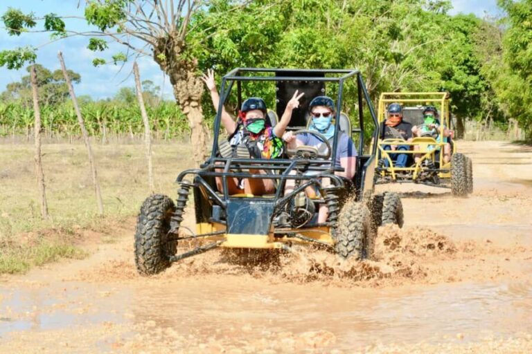 Punta Cana Buggy Adventure with Private Cavern Cenote Swim - The Off-Road Experience: Quarries and Jungle Trails
