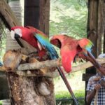 Punta Cana: Buggy and Zipline Adventure at La Hacienda - The Balance of Fun and Practicalities