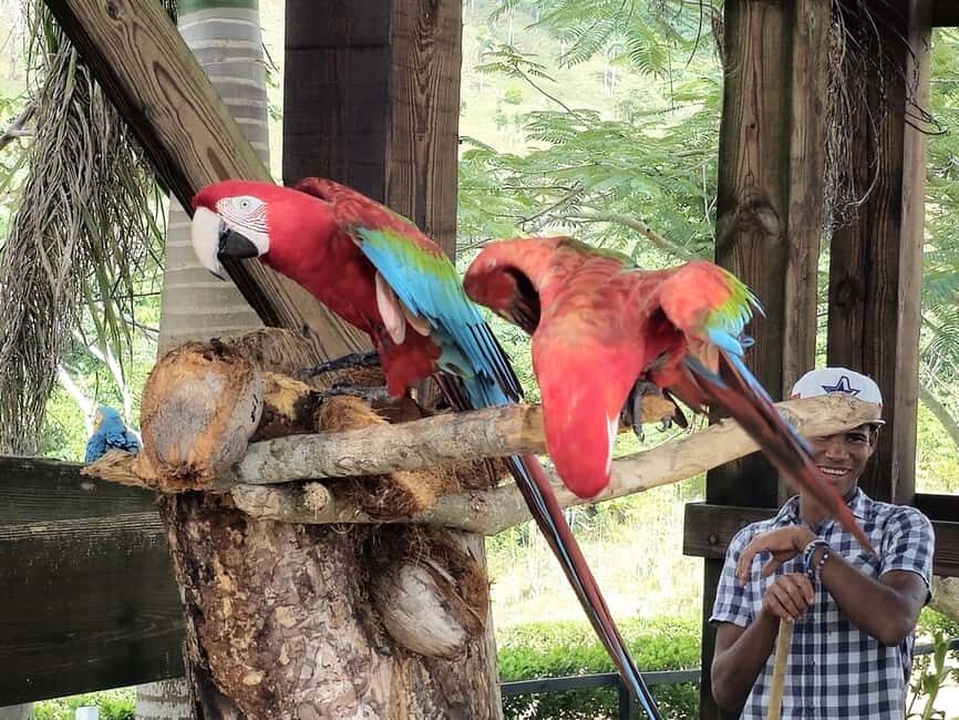 Punta Cana: Buggy and Zipline Adventure at La Hacienda - The Balance of Fun and Practicalities