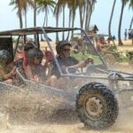 Punta Cana Buggy, ATV and Terracross Adventures - Practical Details and Value