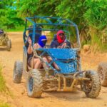 Punta Cana Buggy & ATV Tour: Cave, Macao Beach, Free Pick-Up - Visiting a Dominican Farm: Tasting the Local Flavors