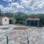 Punta Cana: Cacao, River, and Basilica Tour with Swim - The Practicalities: Transport, Duration, and Price