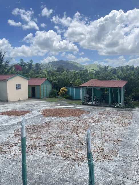 Punta Cana: Cacao, River, and Basilica Tour with Swim - The Practicalities: Transport, Duration, and Price