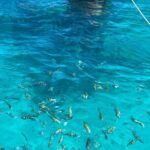 Punta Cana: Catalina Island Diving And Snorkeling - The Catamaran Journey: Setting Sail