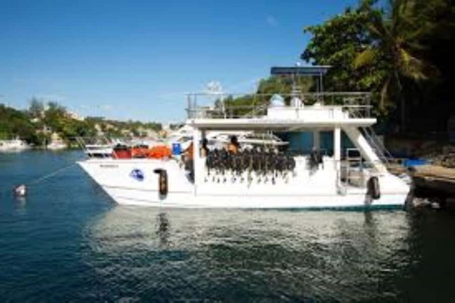 Punta Cana: Catalina Island Scuba Diving Day Trip - Detailed Review of the Catalina Island Scuba Diving Day Trip