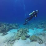 Punta Cana: Catalina Island Scuba Diving Tour with Lunch - What Makes This Tour Stand Out